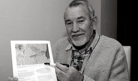 Geschichte | Zu Stein gewordene Dokumente